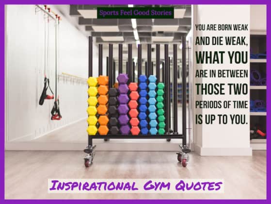 227 Inspirational Fitness Slogans For Motivation (and Fun!)
