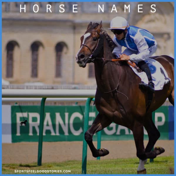 217 Racehorse Names To Be First Out of the Gate And In The Running